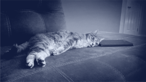 5 Cringe-Worthy Phrases to Stop Saying Immediately!